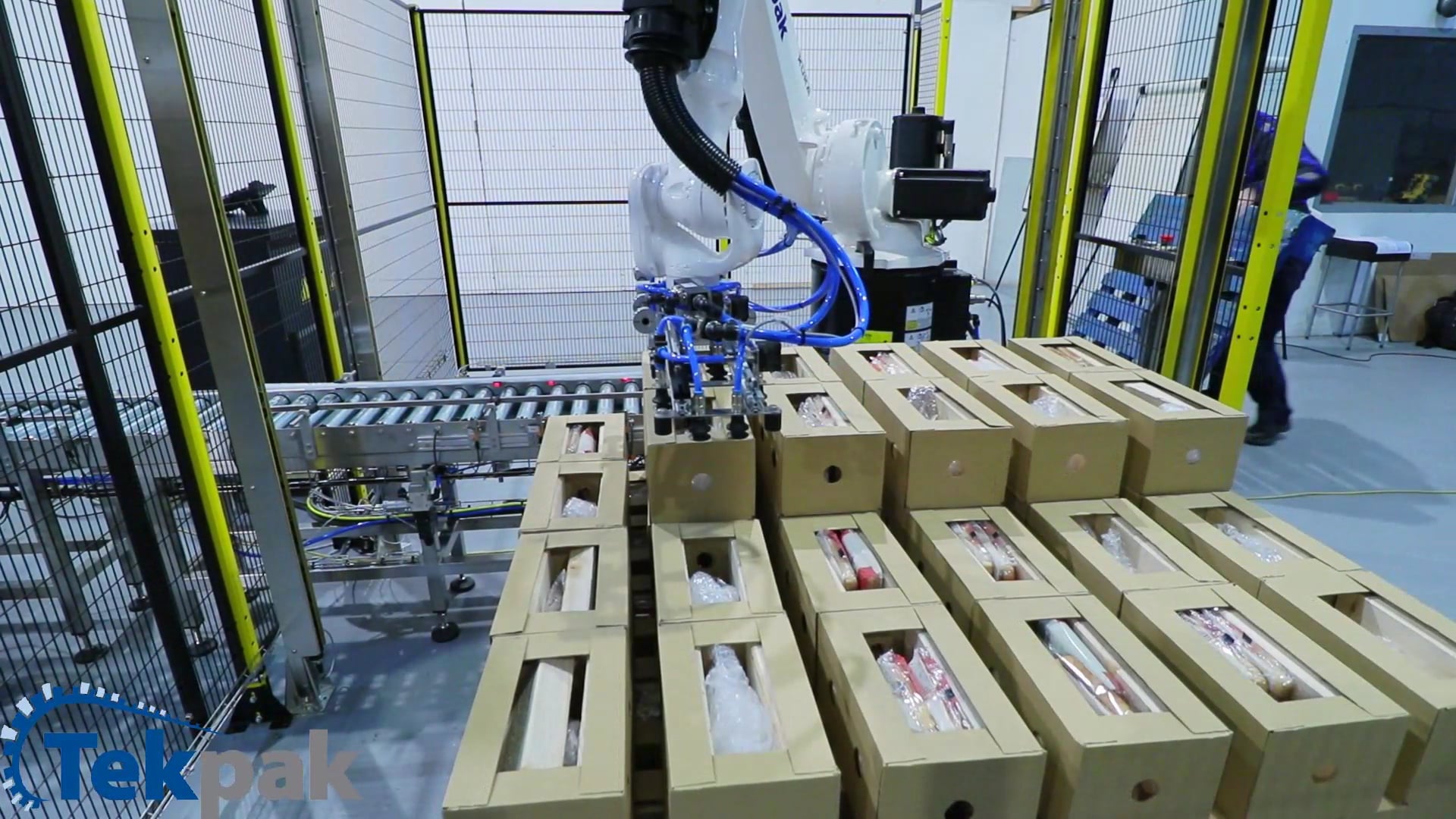 Carton Closer & Palletising Cell - Customised Packaging Machinery ...