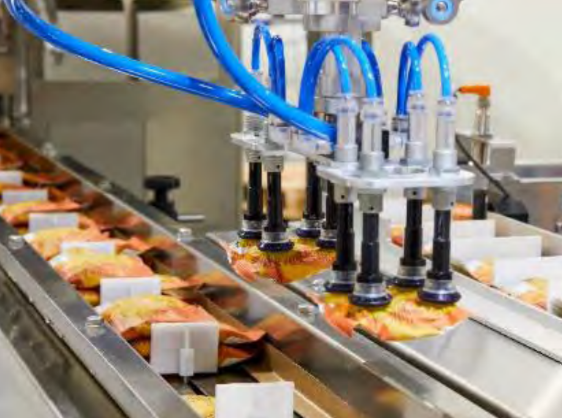 High-Speed Product Stacking to Multi-Pack Flow Wrapper Infeed Conveyor ...