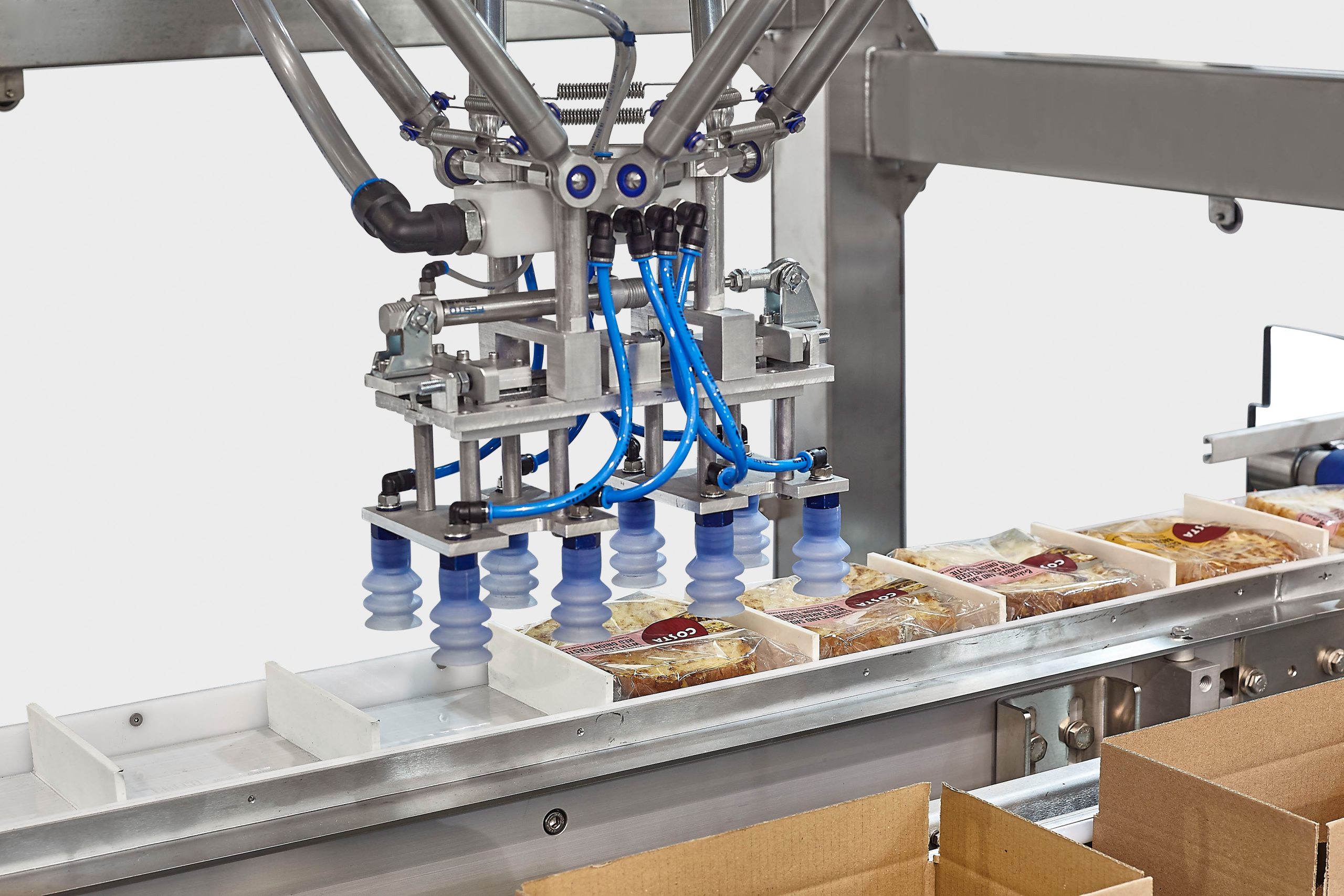 TD3 Food Top load Case Packer - Customised Packaging Machinery | Design & Manufacturer | Tekpak ...